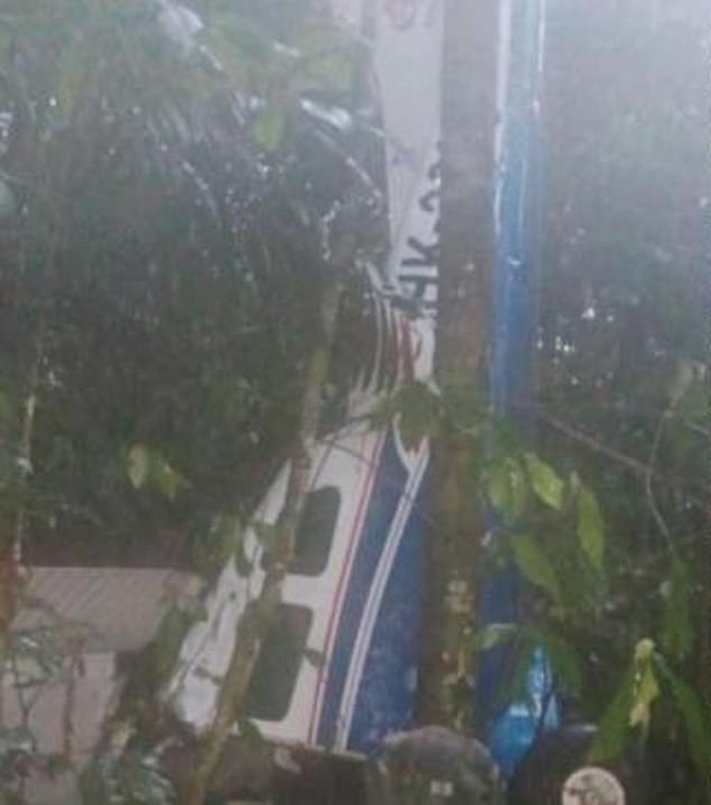 Acidente de avião na selva amazônica entenda como as quatro crianças