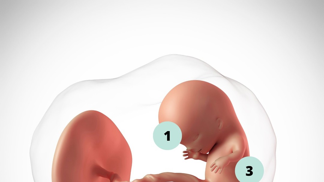 16 semanas de gravidez
