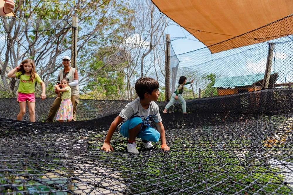 Arvorar: conheça 6 atrações do novo parque do Beach Park