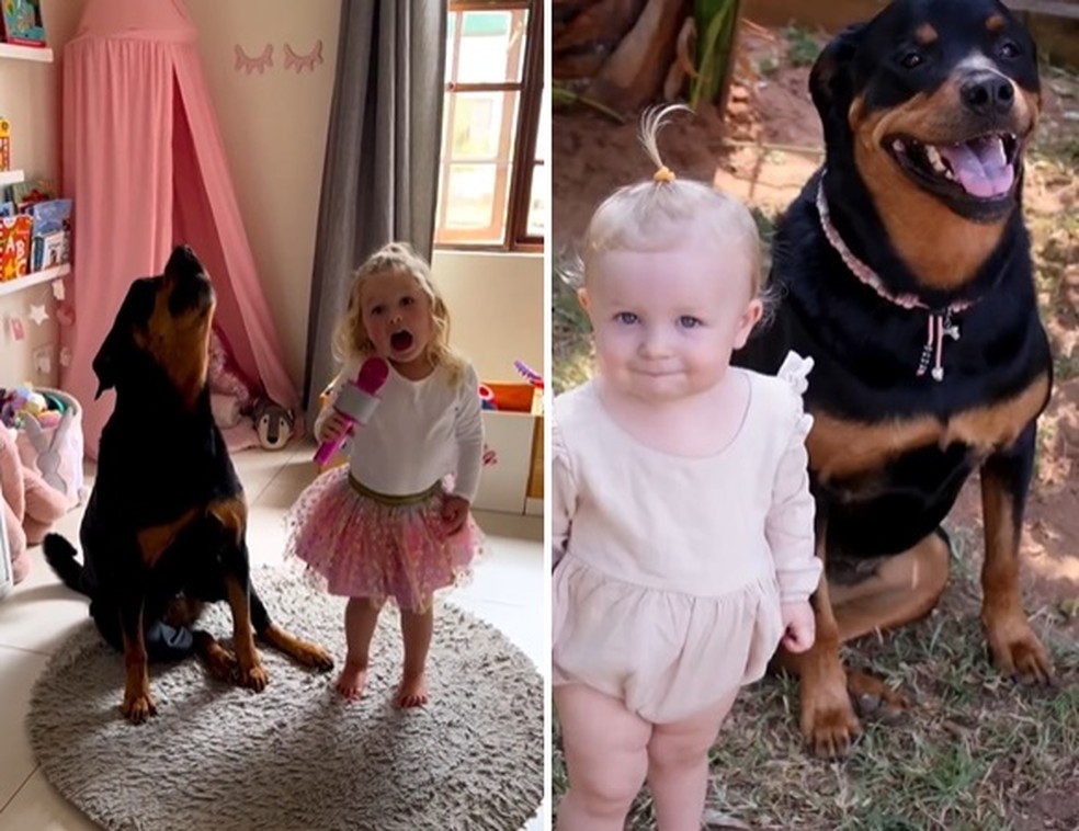 Amizade entre rotweiller e garotinha conquista a internet