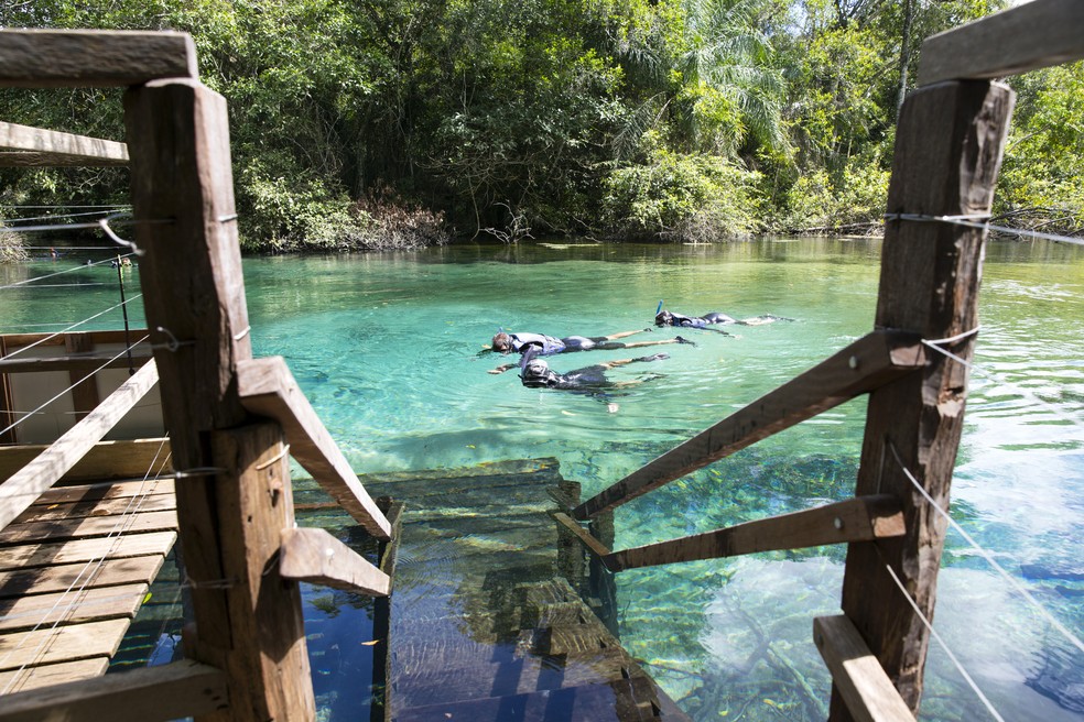 Bonito: 5 passeios encantadores para fazer com crianças