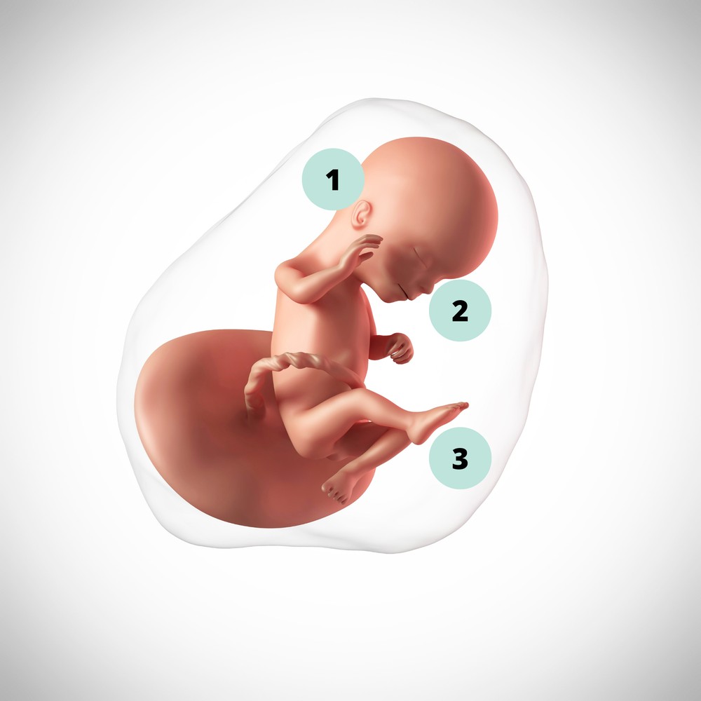 16 semanas de gravidez