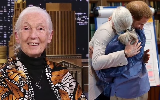 Príncipe Harry sonhava em criar o filho, Archie, na África, revela Jane ...