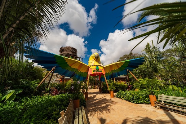 Arvorar: conheça 6 atrações do novo parque do Beach Park