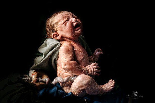 Concurso internacional divulga melhores fotografias de parto; veja os ...