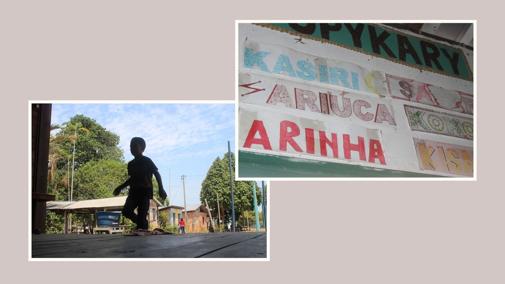 Escolas no meio da floresta: como é estudar em comunidades ribeirinhas ...