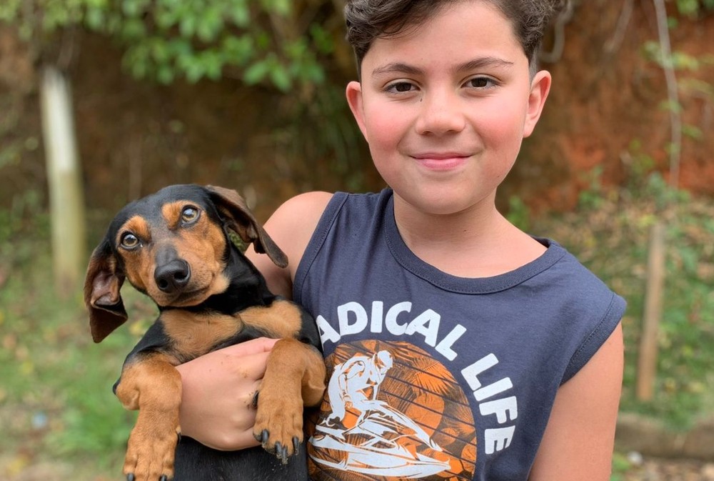 Cachorro finge mancar em apoio ao dono e conquista a internet ...