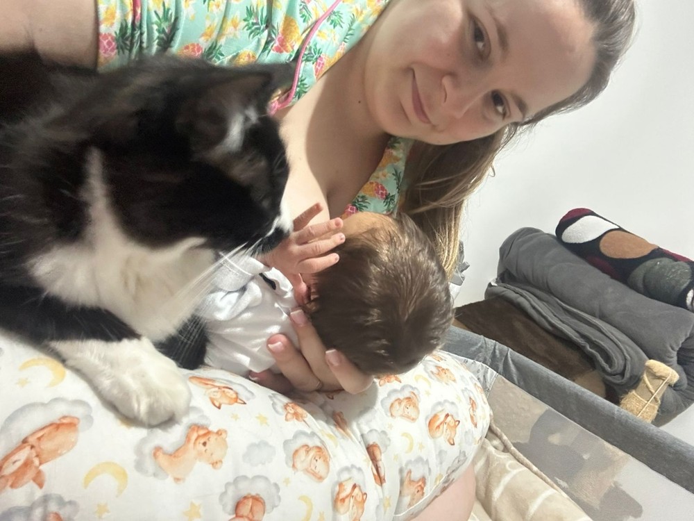 Gato “ajuda” mãe a cuidar de bebê e cena chama atenção dos internautas