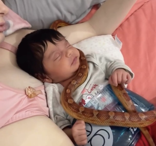 Ensaio newborn com cobra de estimação chama atenção e gera polêmica em SP