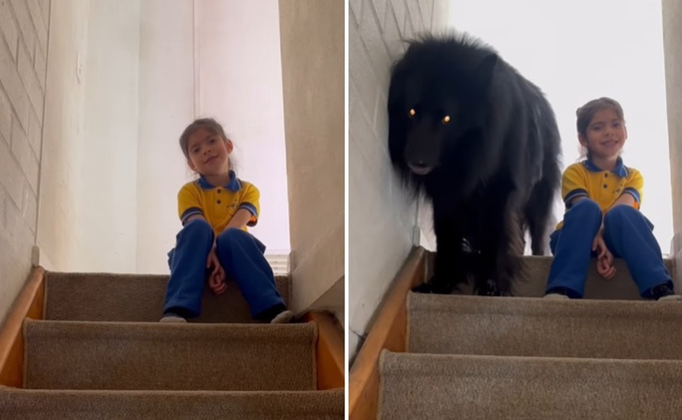 Menina posa com pet e surpreende a internet — sabe que animal é?