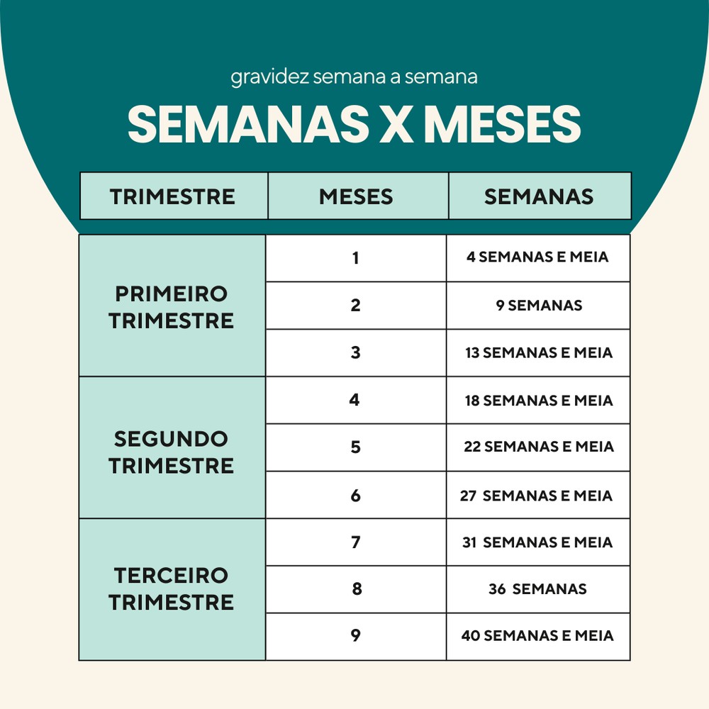 Como contar a gravidez em semanas e meses: veja tabela