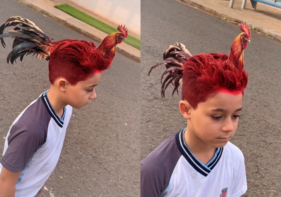 Dia do Cabelo Maluco: mãe faz penteado inspirado em galo e viraliza ...